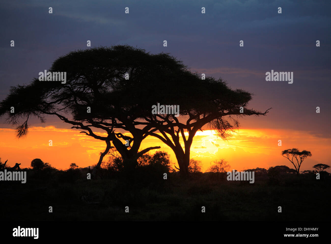 Kenya sunset hi-res stock photography and images - Alamy