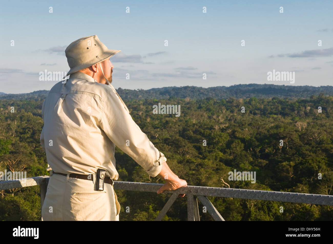 Man looking over the the Amazon forest from a canopy tower, Alta ...