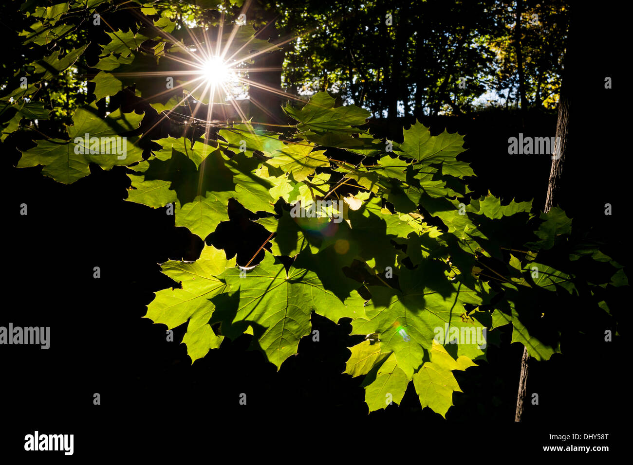 A colour landscape photograph showing a sunburst in the background and ...