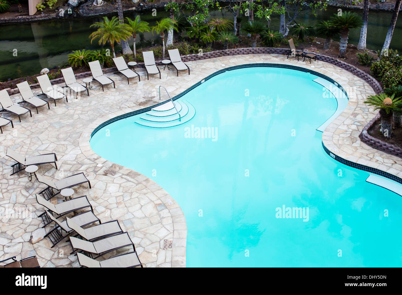 Beautiful swimming Pool with Lounge Chairs and Palm trees at the end of ...