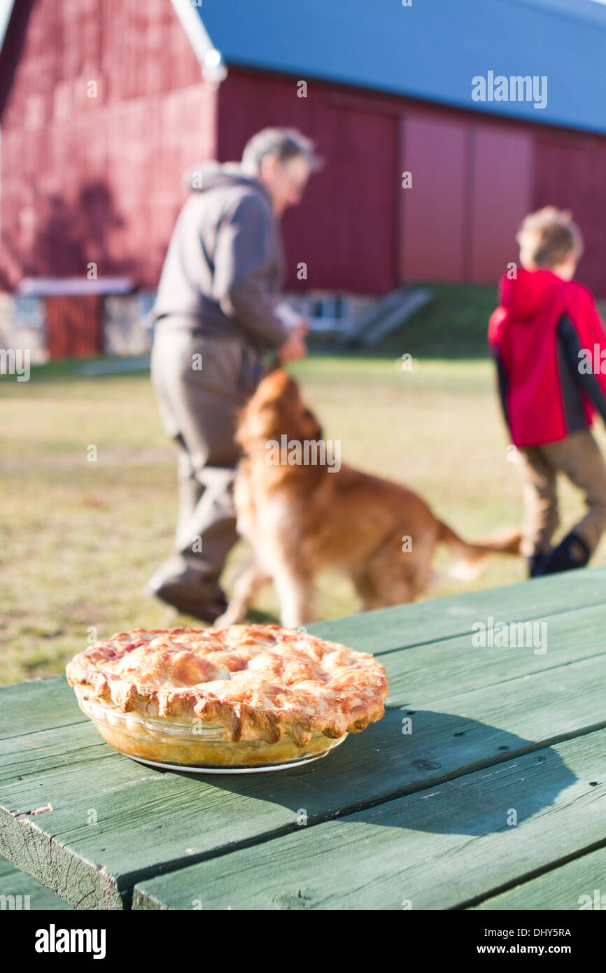 Home made apple pie set outside to cool Stock Photo - Alamy