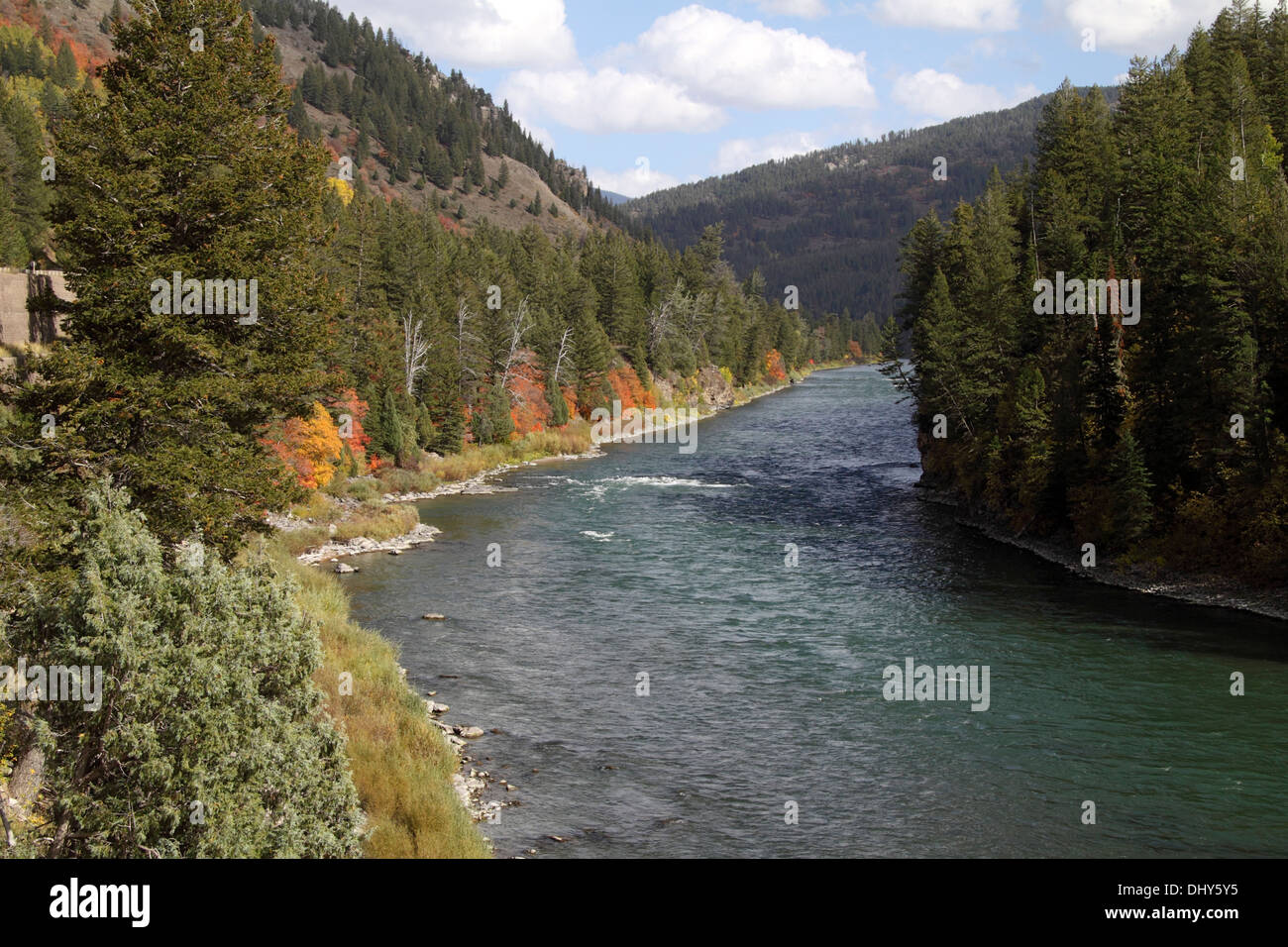 Snake in river hi-res stock photography and images - Alamy