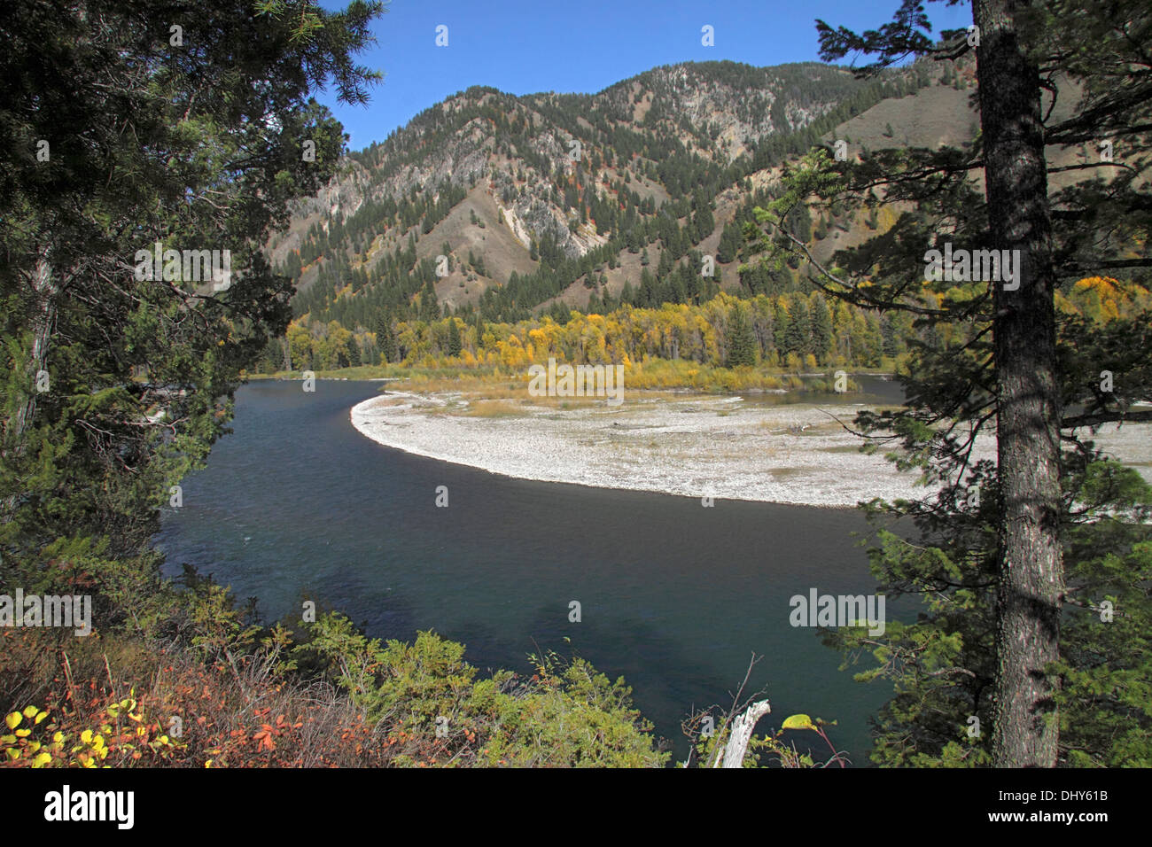 Snake in the fall hi-res stock photography and images - Alamy
