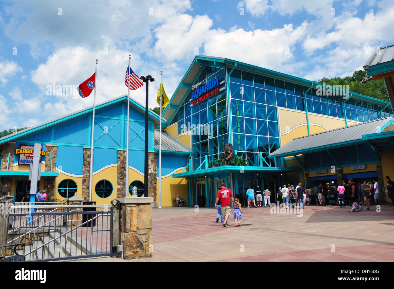 Ripley's aquarium of the smokies hi-res stock photography and images ...