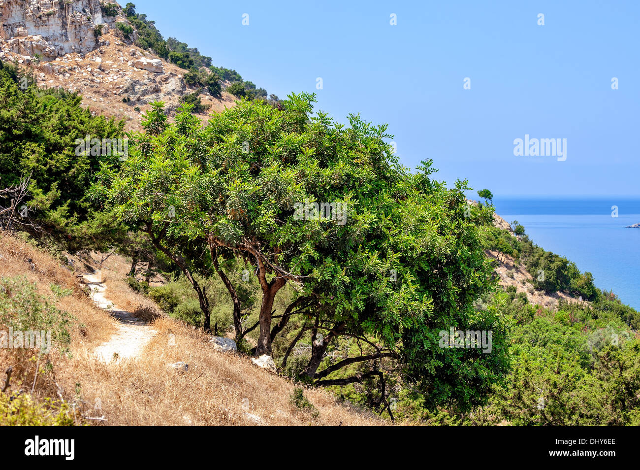 Typical nature landscape on coast of Cyprus Stock Photo - Alamy