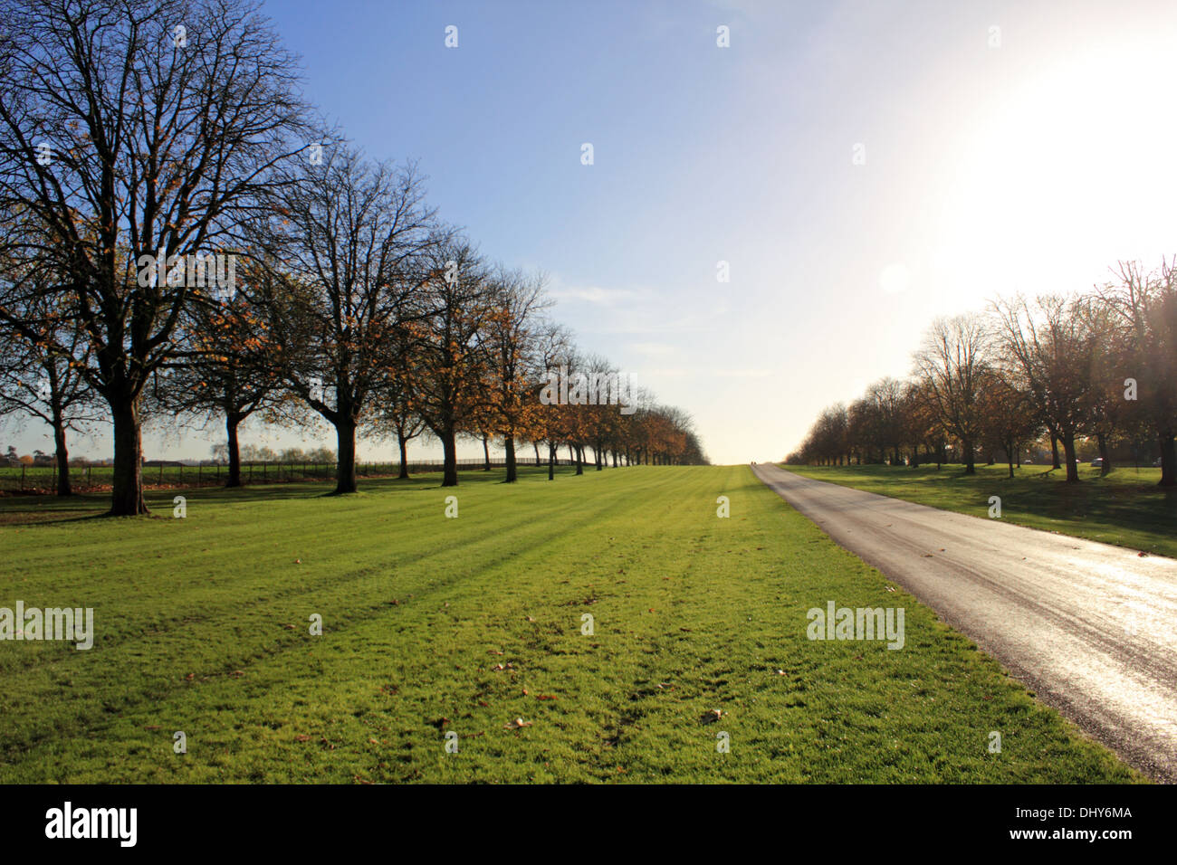 The long walk windsor autumn hi-res stock photography and images - Alamy