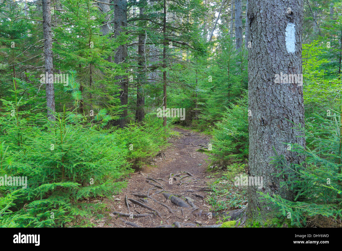 Hiking the porter preserve hi-res stock photography and images - Alamy