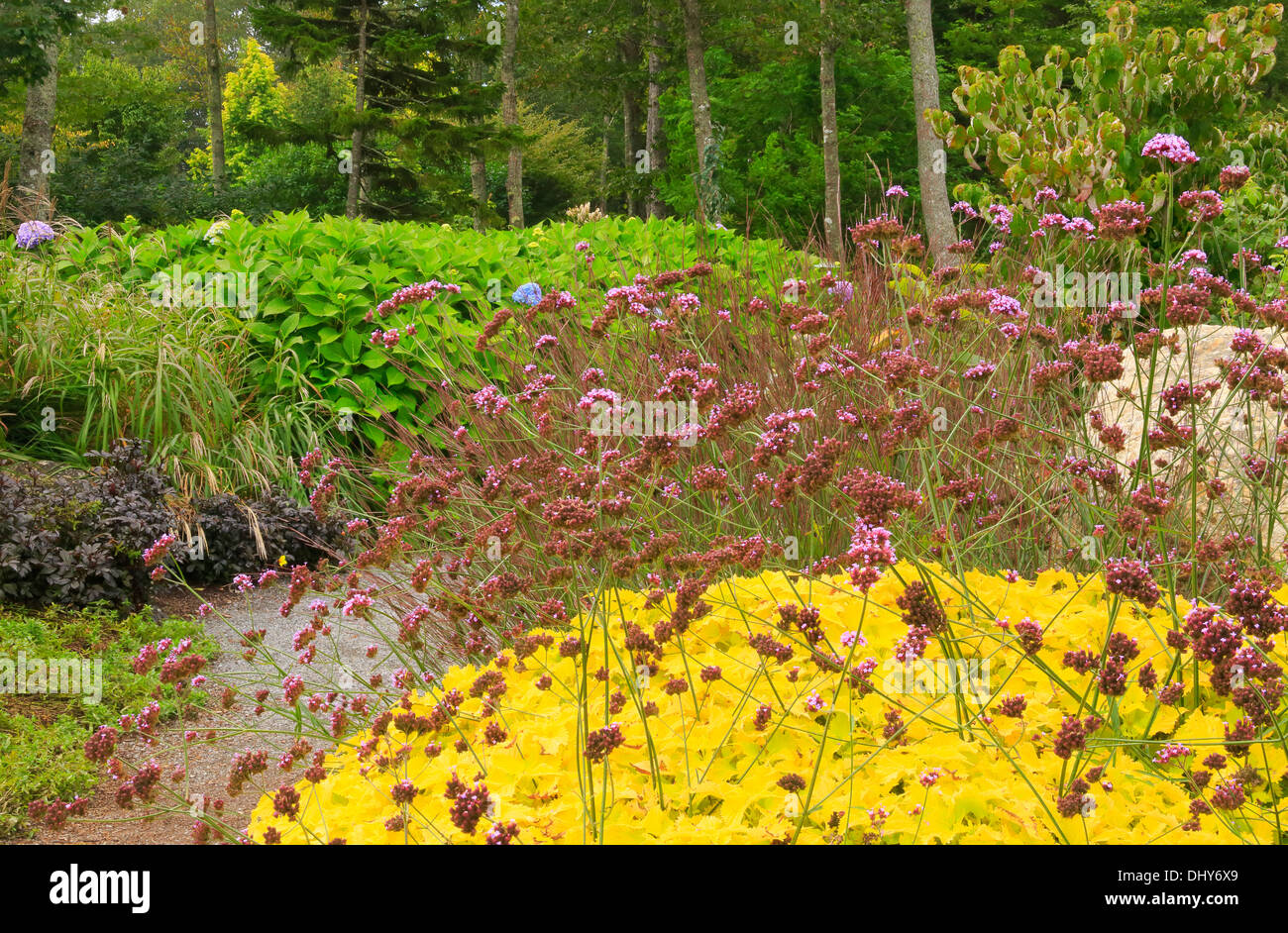 Rose and Perennial Garden, Coastal Maine Botanical Gardens, Boothbay ...