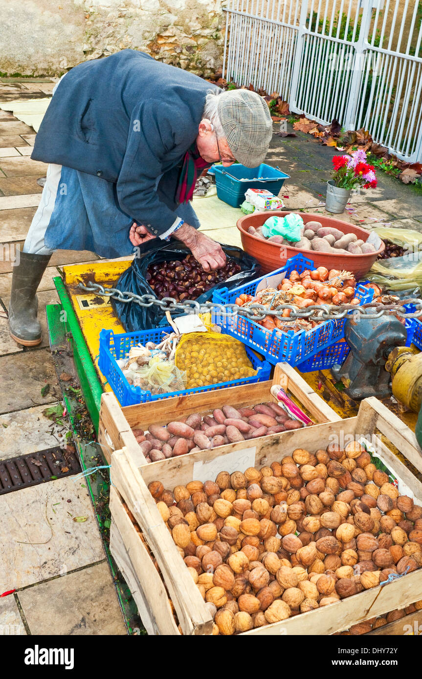 Frenchman sorting fresh vegetables and walnuts in boxes on pavement ...