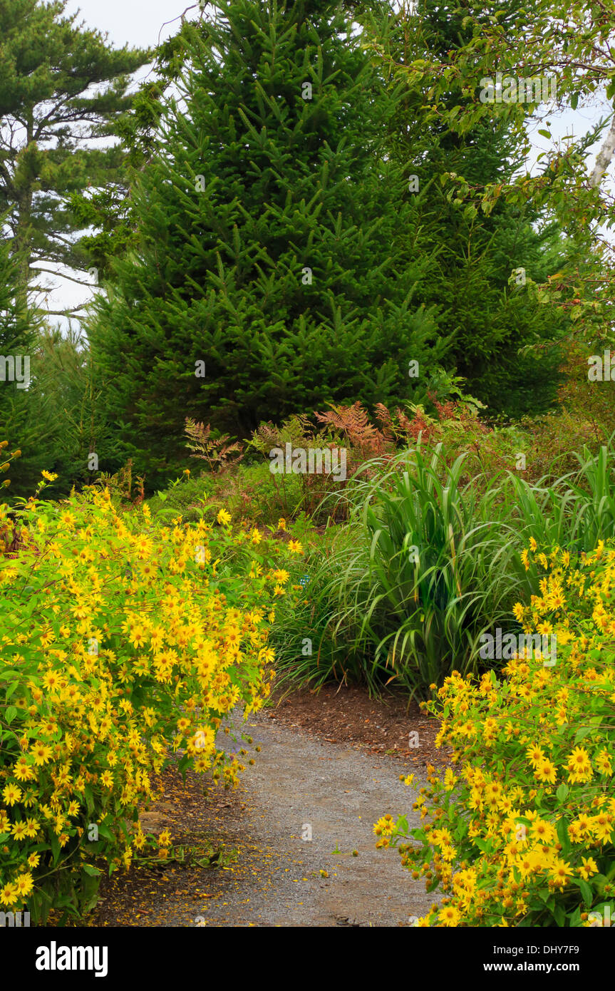 Rose and Perennial Garden, Coastal Maine Botanical Gardens, Boothbay ...