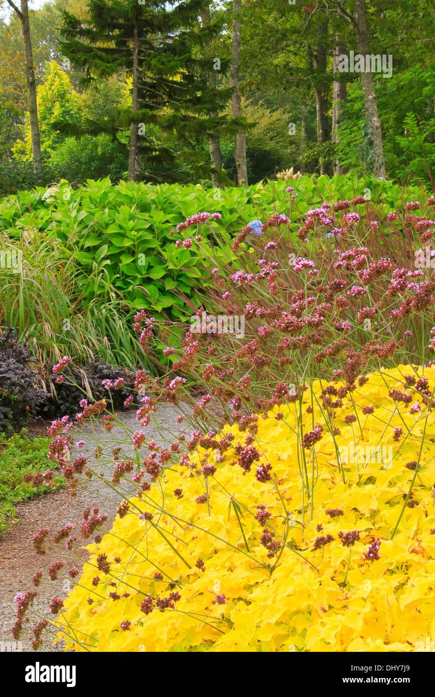 Rose and Perennial Garden, Coastal Maine Botanical Gardens, Boothbay ...