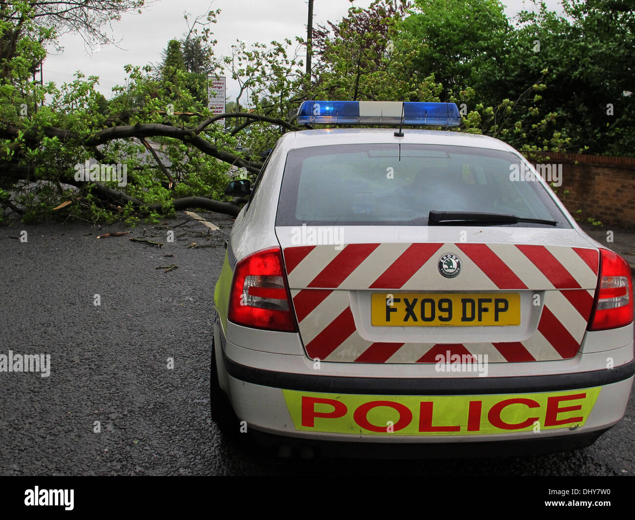 Road closed, blocked, large tree, police car, Ford Focus, controlling ...