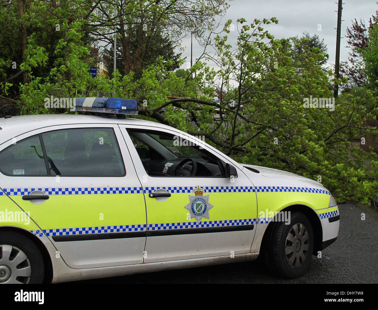 Road closed, blocked, large tree, police car, Ford Focus, controlling ...