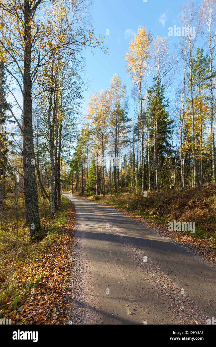 Beautiful autumn in Finland Stock Photo - Alamy