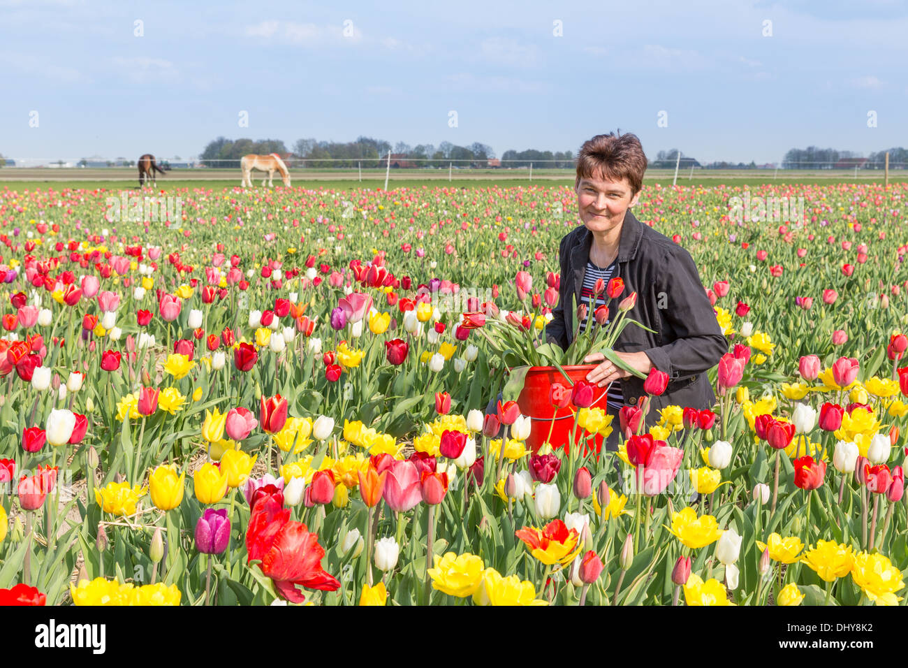 Plucking flowers hi-res stock photography and images - Alamy