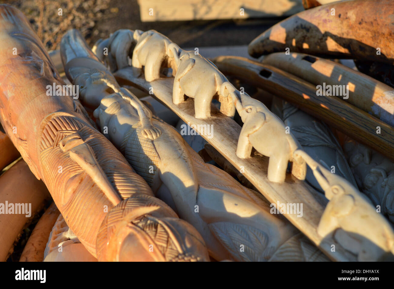 Confiscated ivory hi-res stock photography and images - Alamy