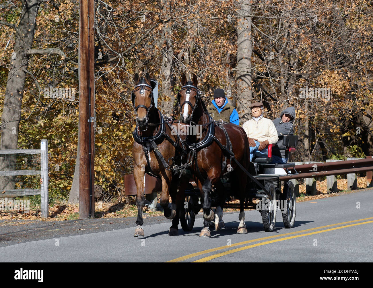 Three men in a two horse drawn carriage dray buckboard Stock Photo - Alamy