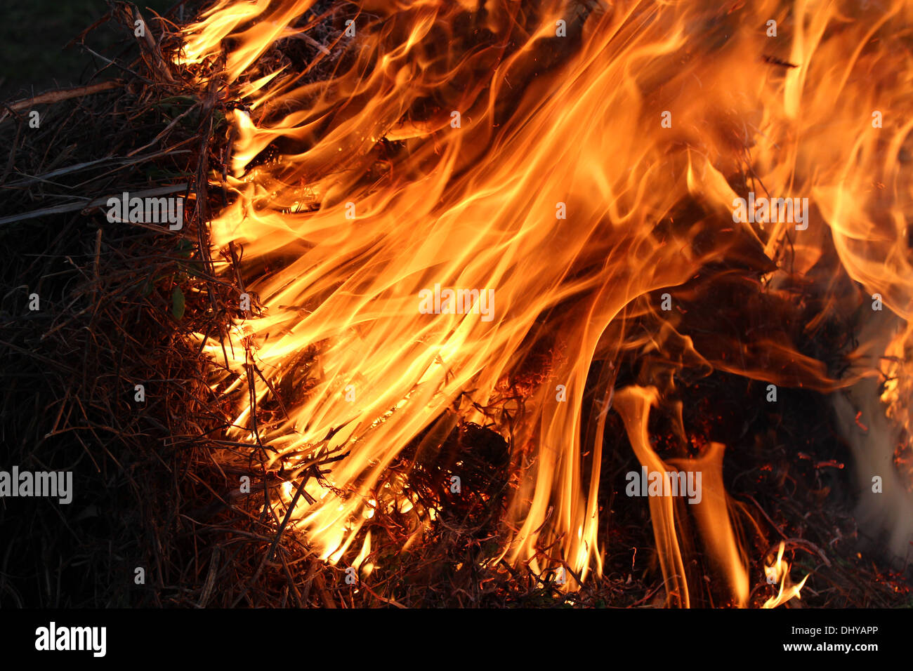 body of flame inflaming in a forest Stock Photo - Alamy