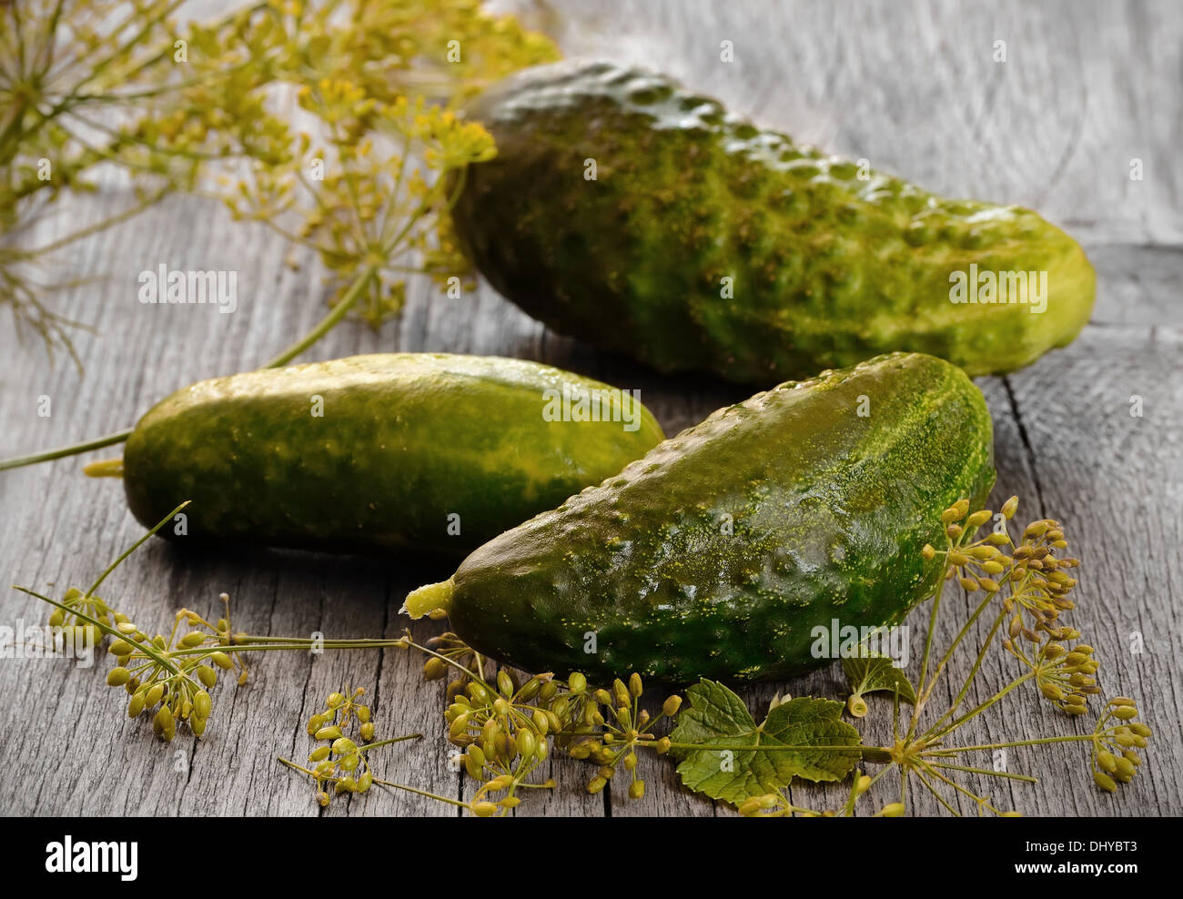 Wooden garden table hi-res stock photography and images - Alamy