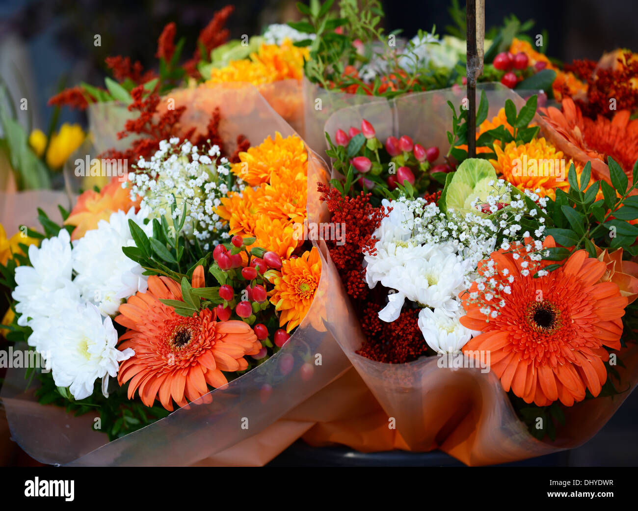 Flower market with various multicolored fresh flowers Stock Photo - Alamy