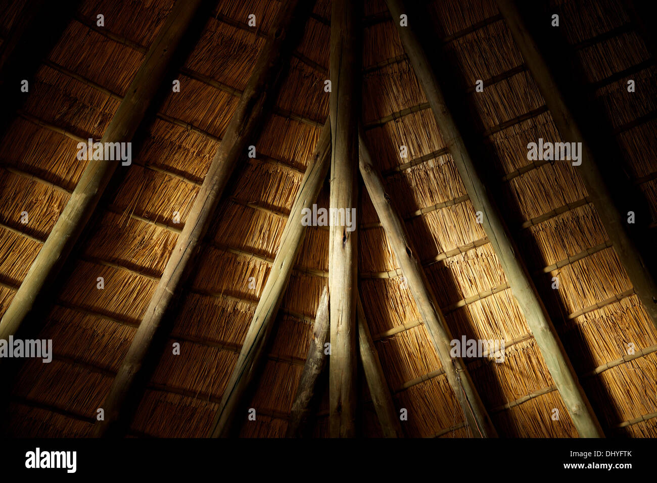 An interior view of a thatched, or lapa, grass roof on a house in South ...