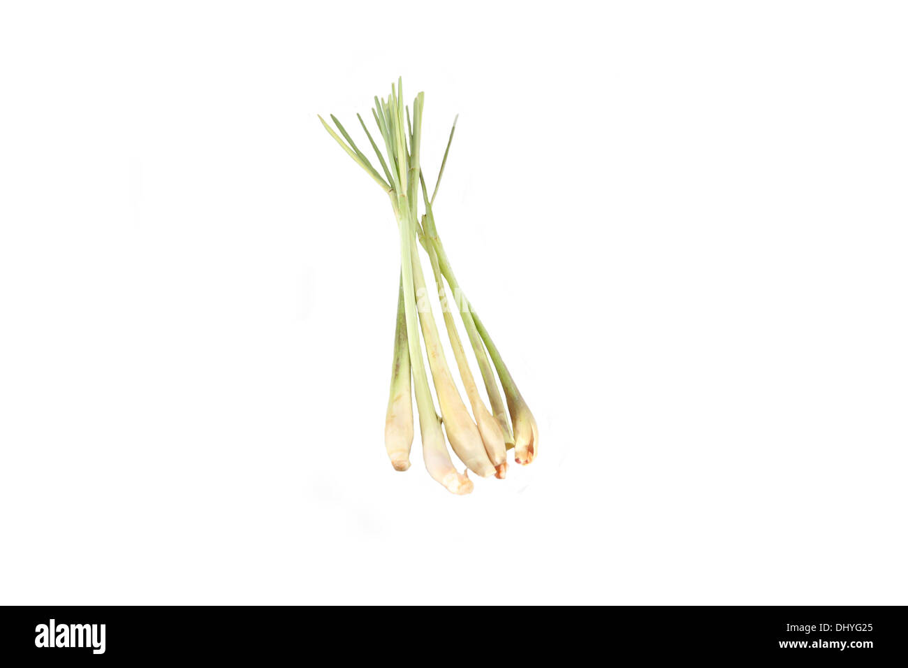 Closeup Fresh Lemon Grass on white background Stock Photo - Alamy
