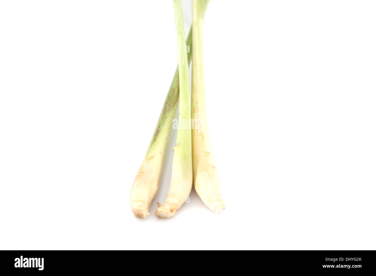Closeup Fresh Lemon Grass on white background Stock Photo - Alamy