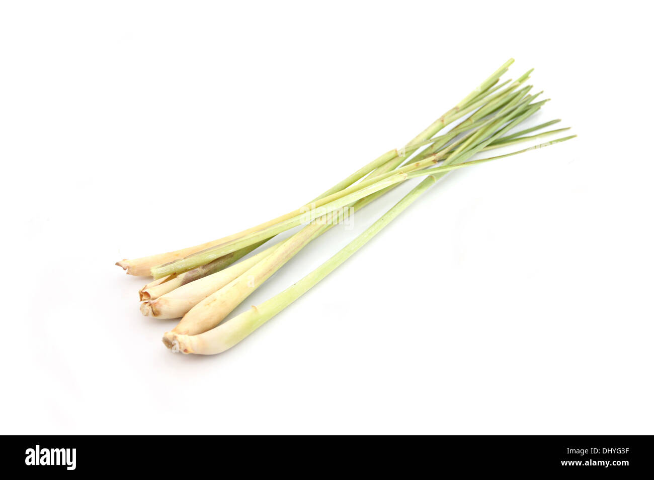 Closeup Fresh Lemon Grass on white background Stock Photo - Alamy
