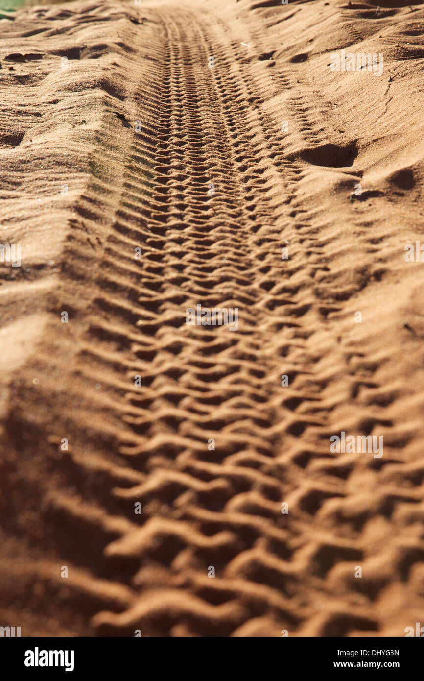 Four wheel drive tracks through red kalahari sand Stock Photo - Alamy
