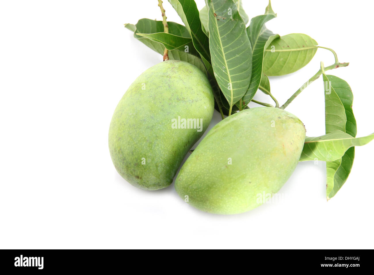 Green Mango With Leaf