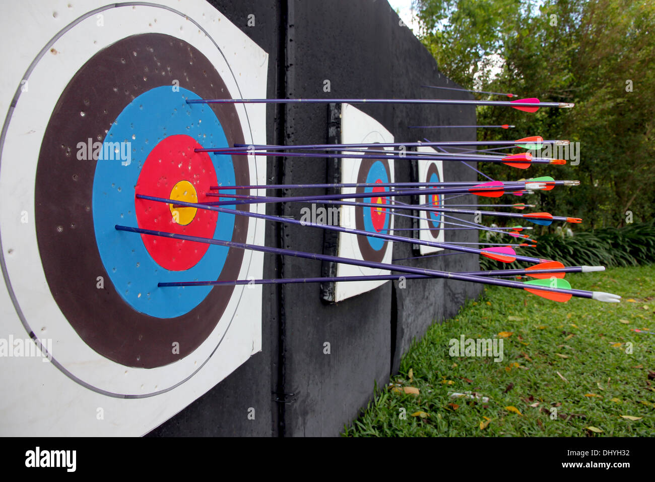 The Picture Target archery and many arrow after shoot Stock Photo - Alamy