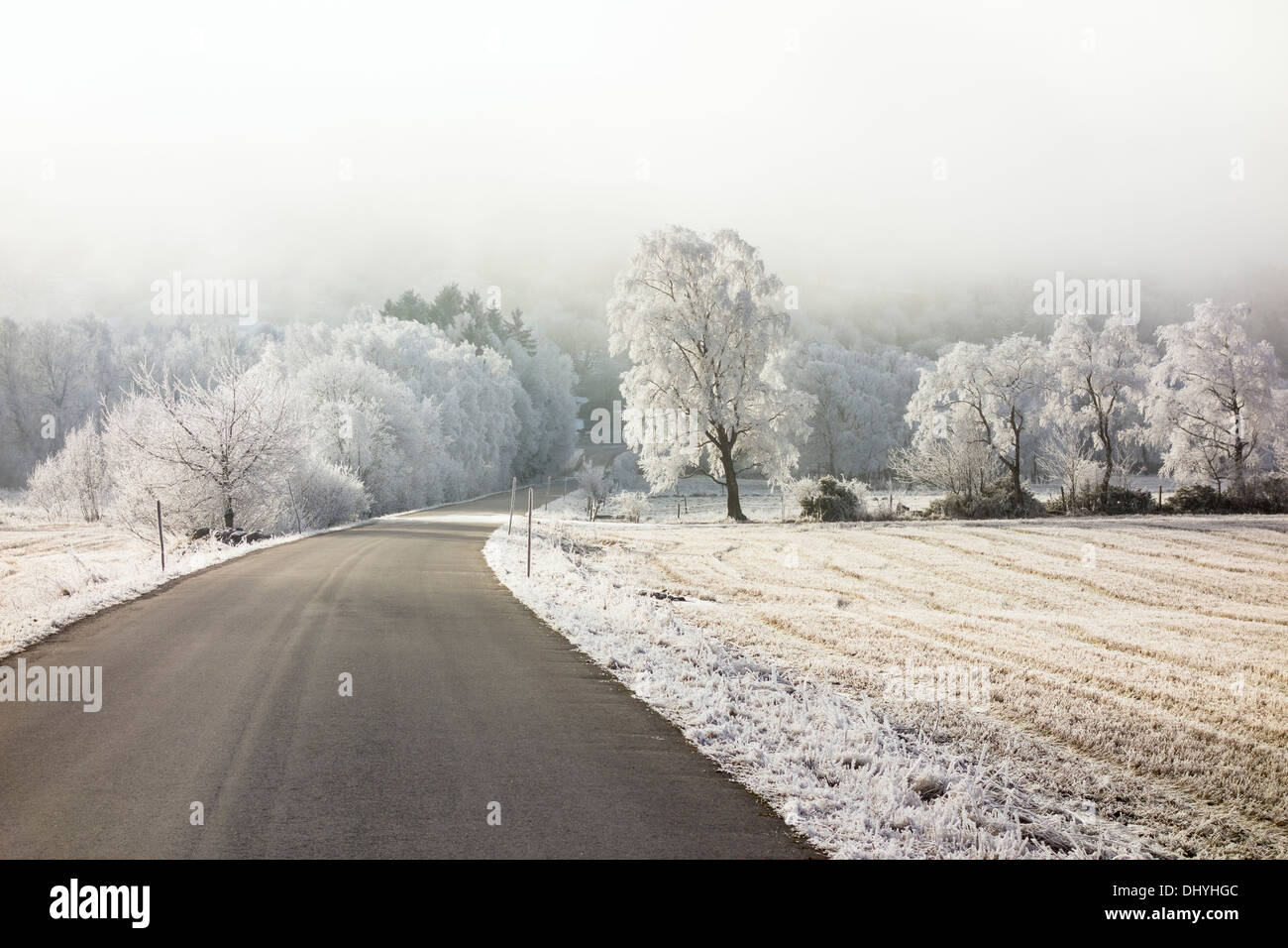 Country road in winter landscape Stock Photo - Alamy