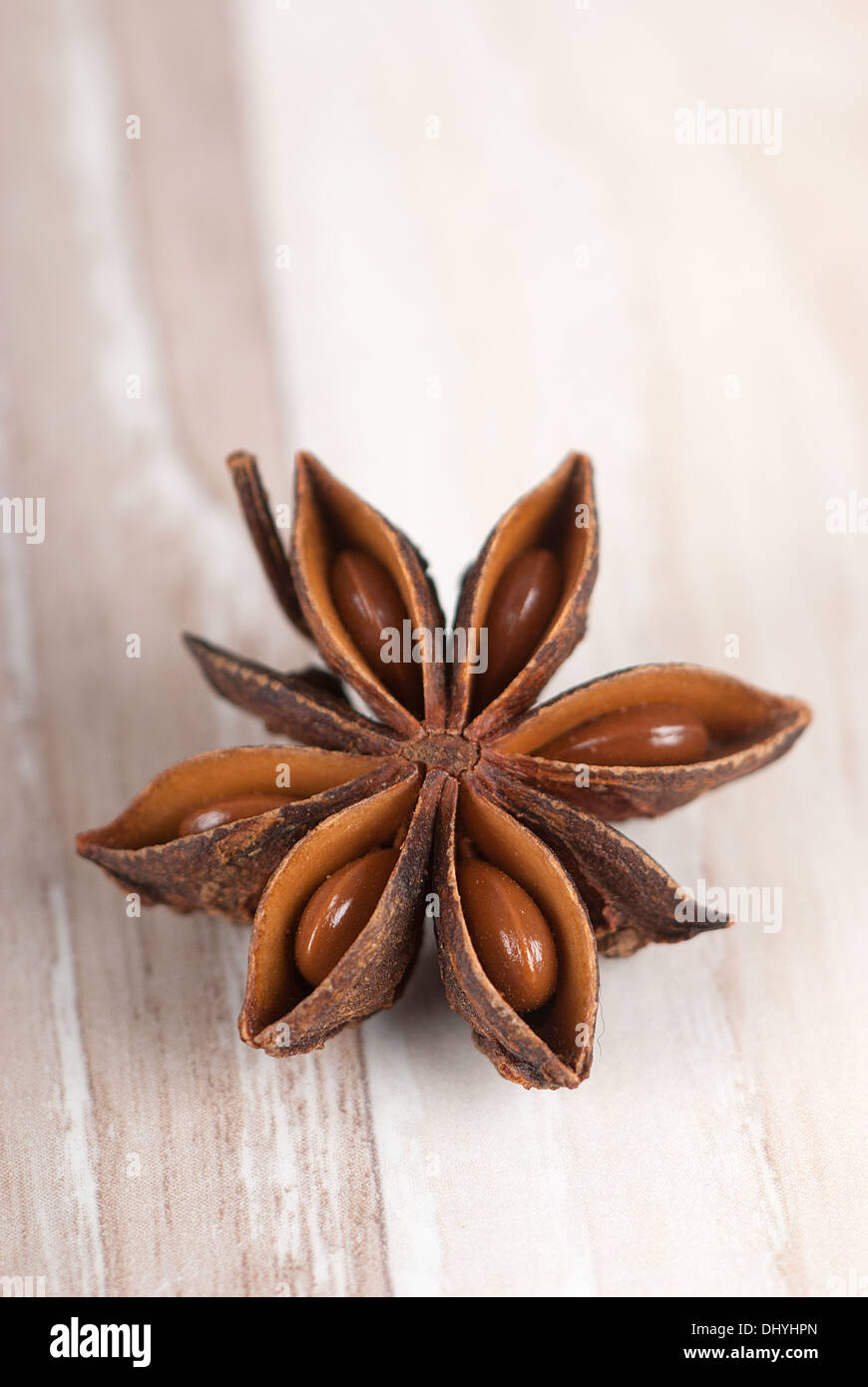 Star anise, chinese anise, badian, Illicium verum Stock Photo - Alamy