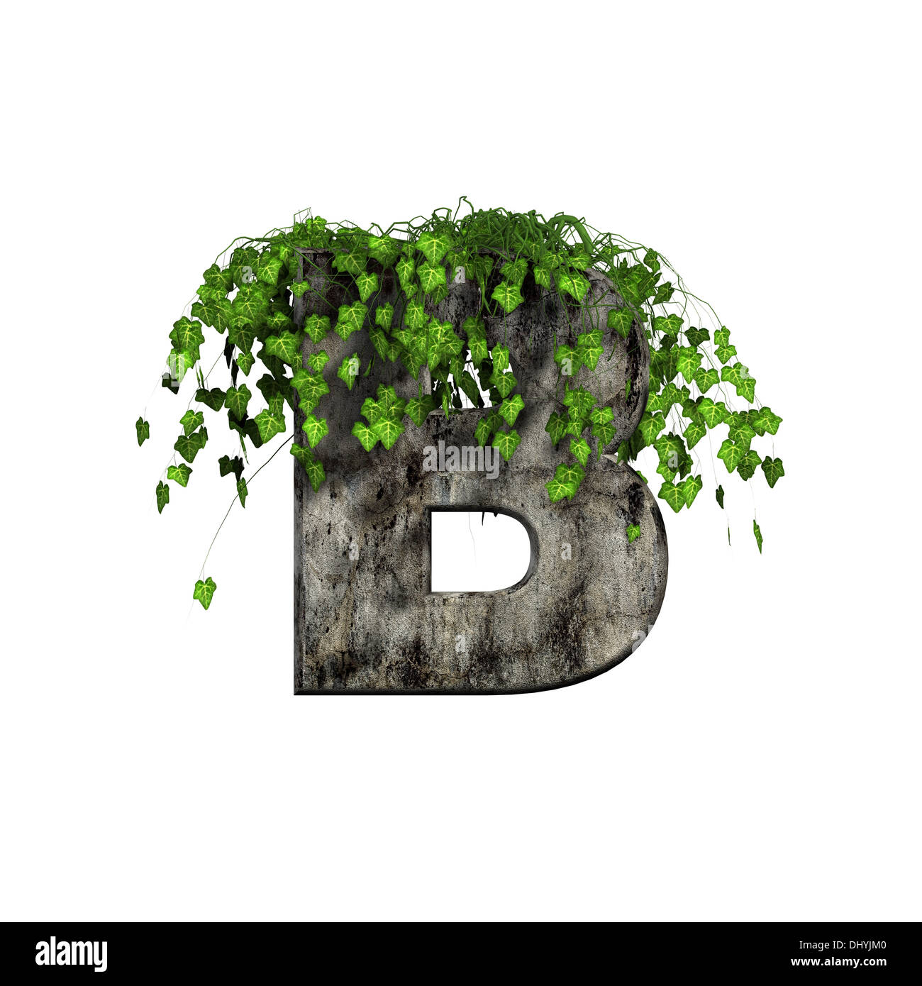 Letter b plant hi-res stock photography and images - Alamy