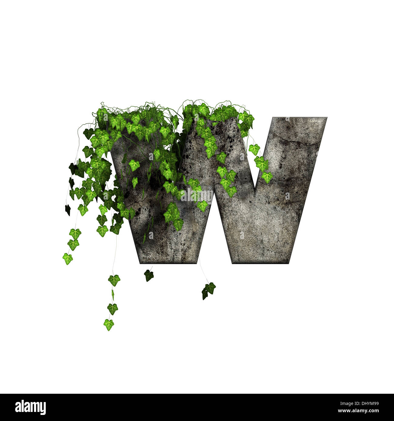 Letter w plant hi-res stock photography and images - Alamy