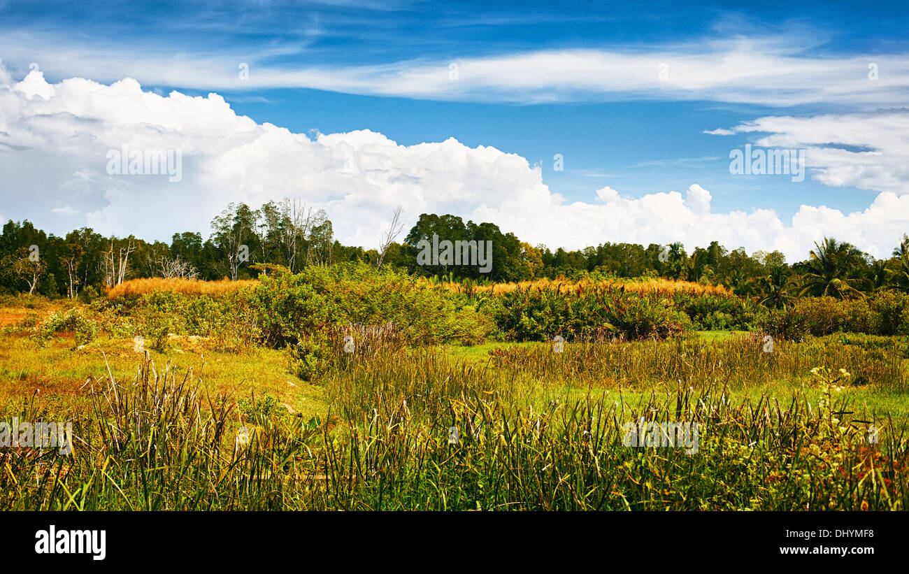 Tropic green landscape hi-res stock photography and images - Alamy