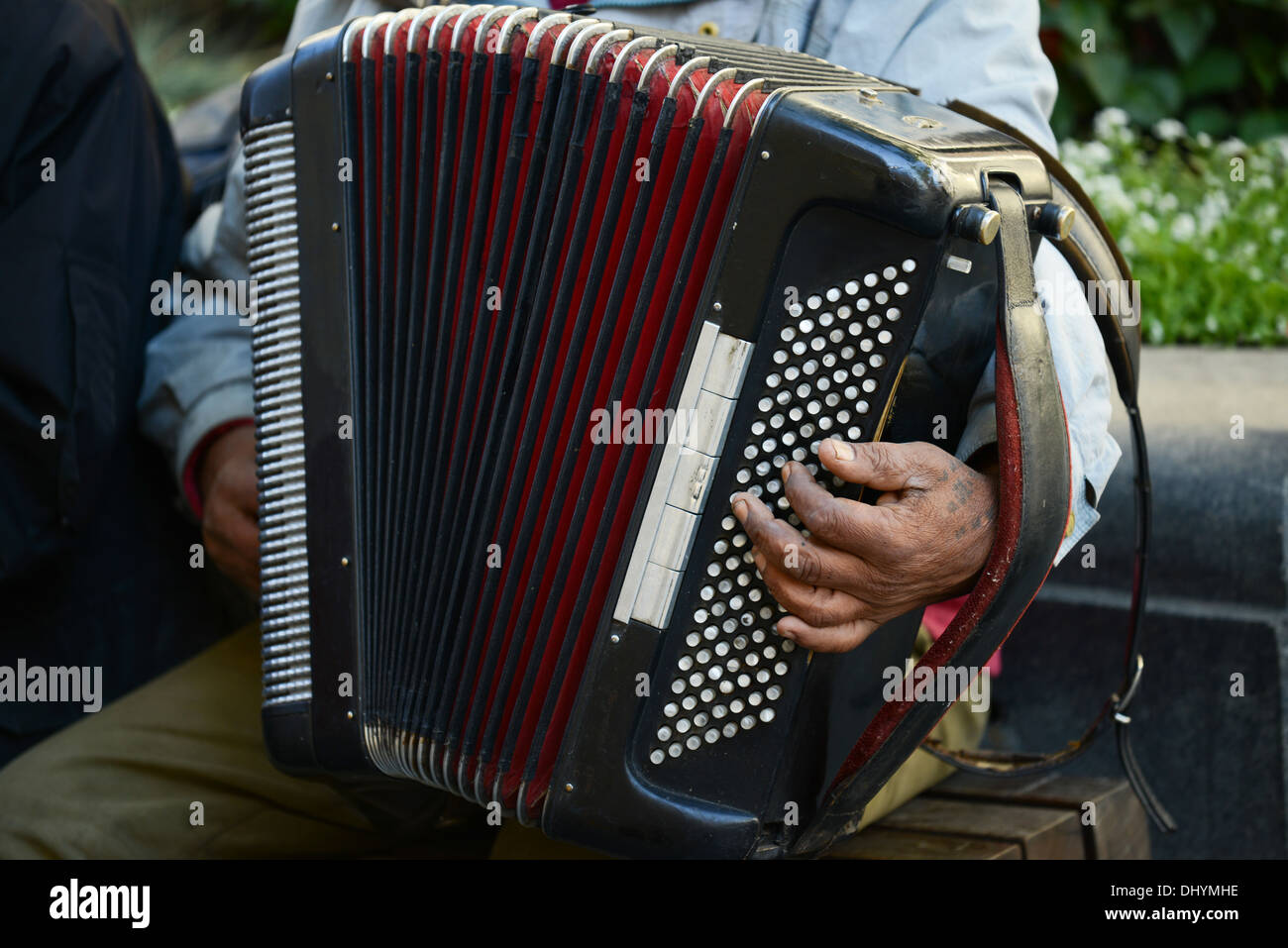 Virtuoso accordion player hi-res stock photography and images - Alamy