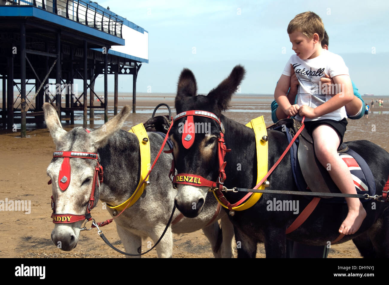 Donkey ride beach hi-res stock photography and images - Alamy