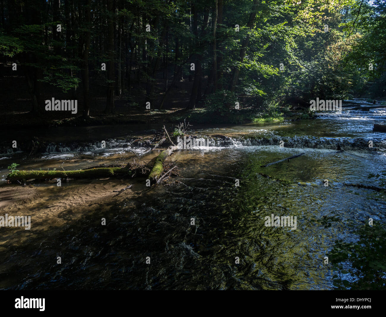 Roztocze - the magic place in Poland Stock Photo - Alamy