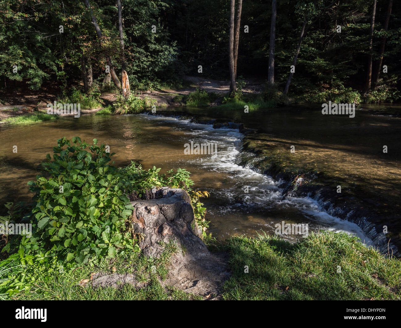 Roztocze - the magic place in Poland Stock Photo - Alamy