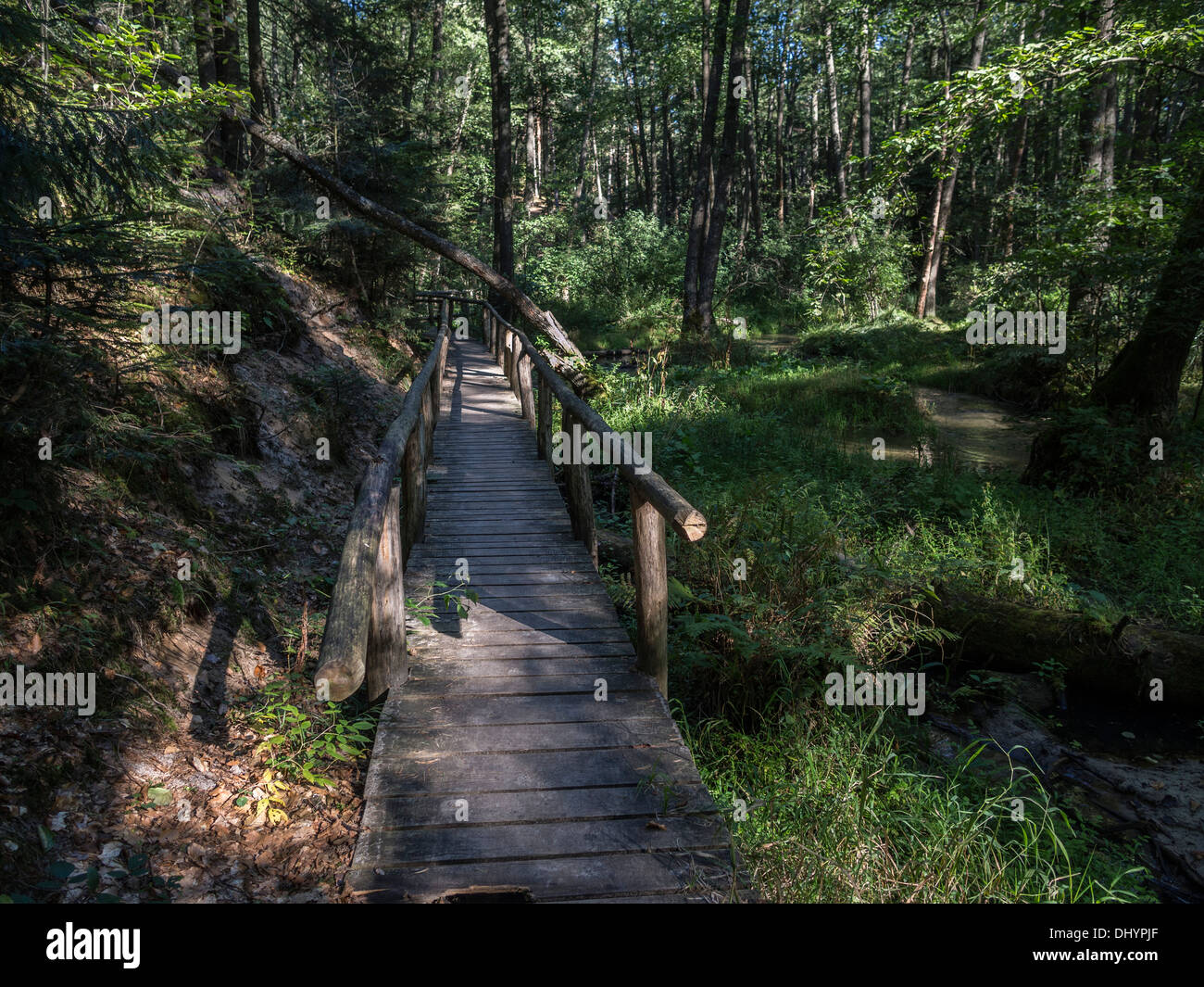Roztocze - the magic place in Poland Stock Photo - Alamy