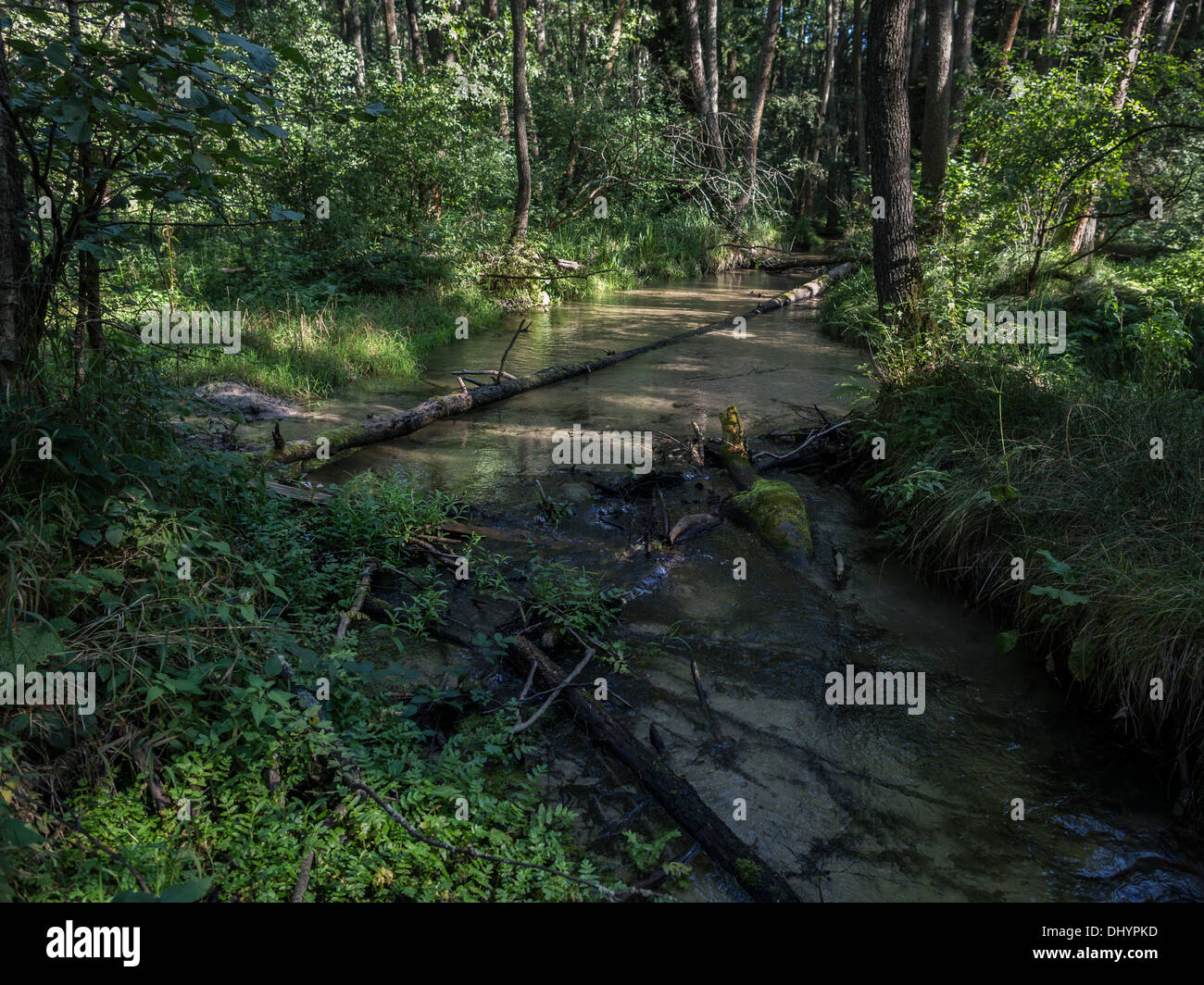 Roztocze - the magic place in Poland Stock Photo - Alamy