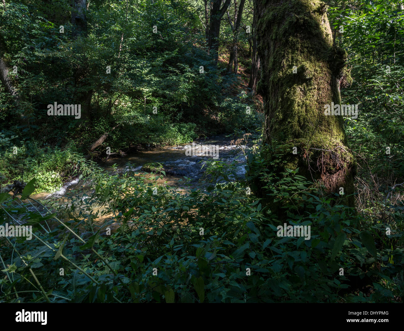Roztocze - the magic place in Poland Stock Photo - Alamy