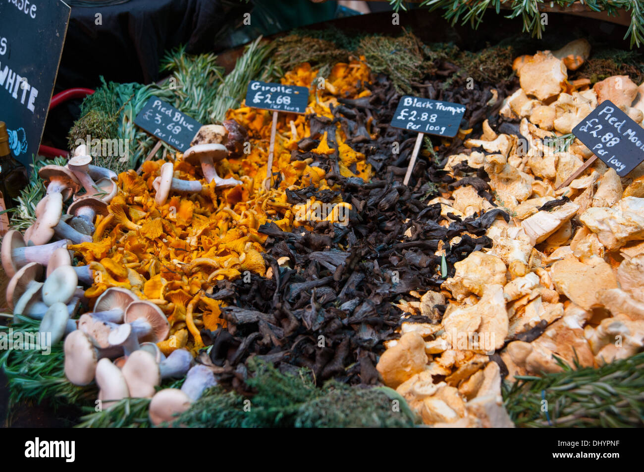 Mushroom stall in Borough Market London SE1 UK Stock Photo - Alamy