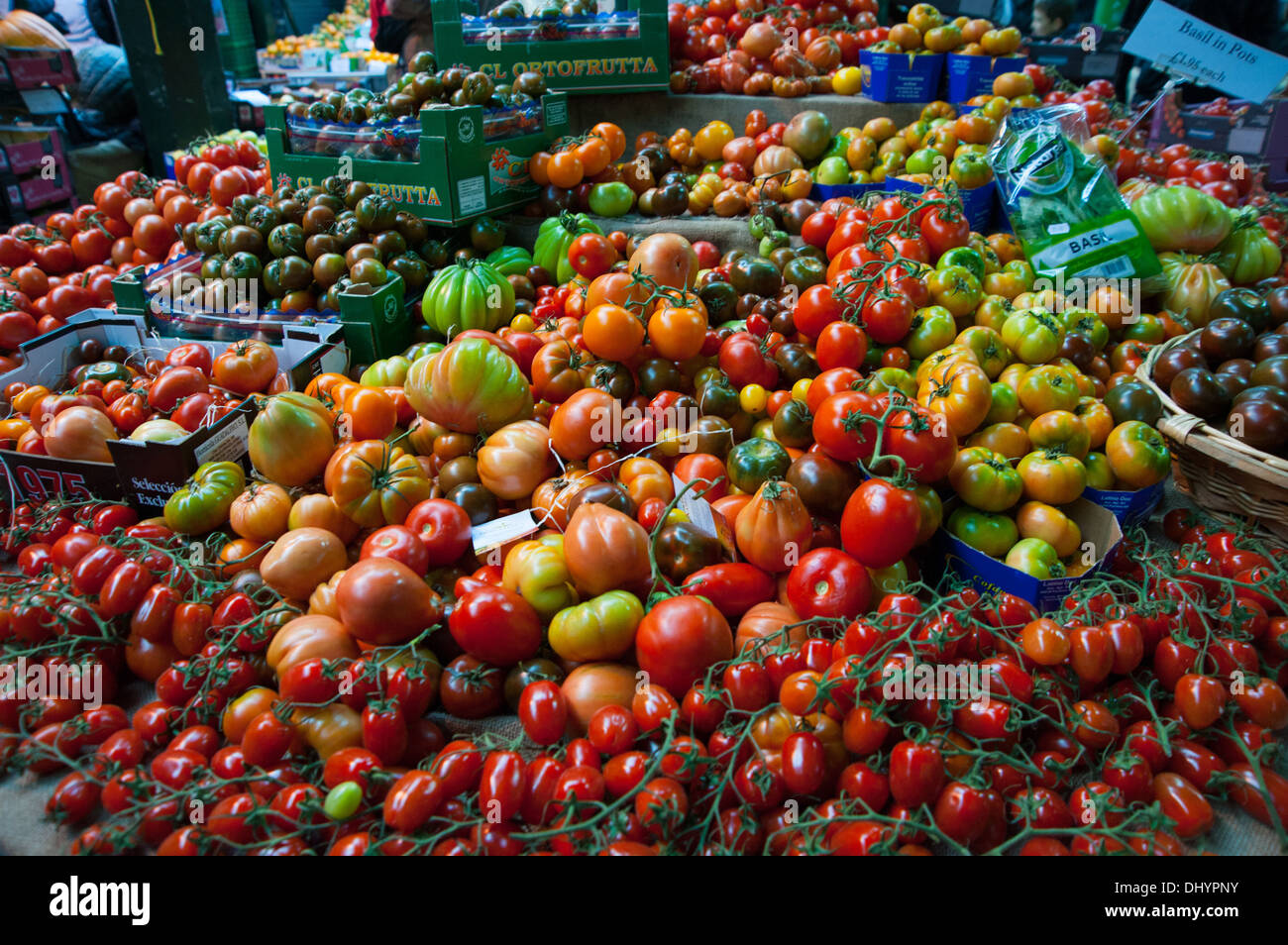 Tomato Varieties Uk Stock Photos & Tomato Varieties Uk Stock Images - Alamy