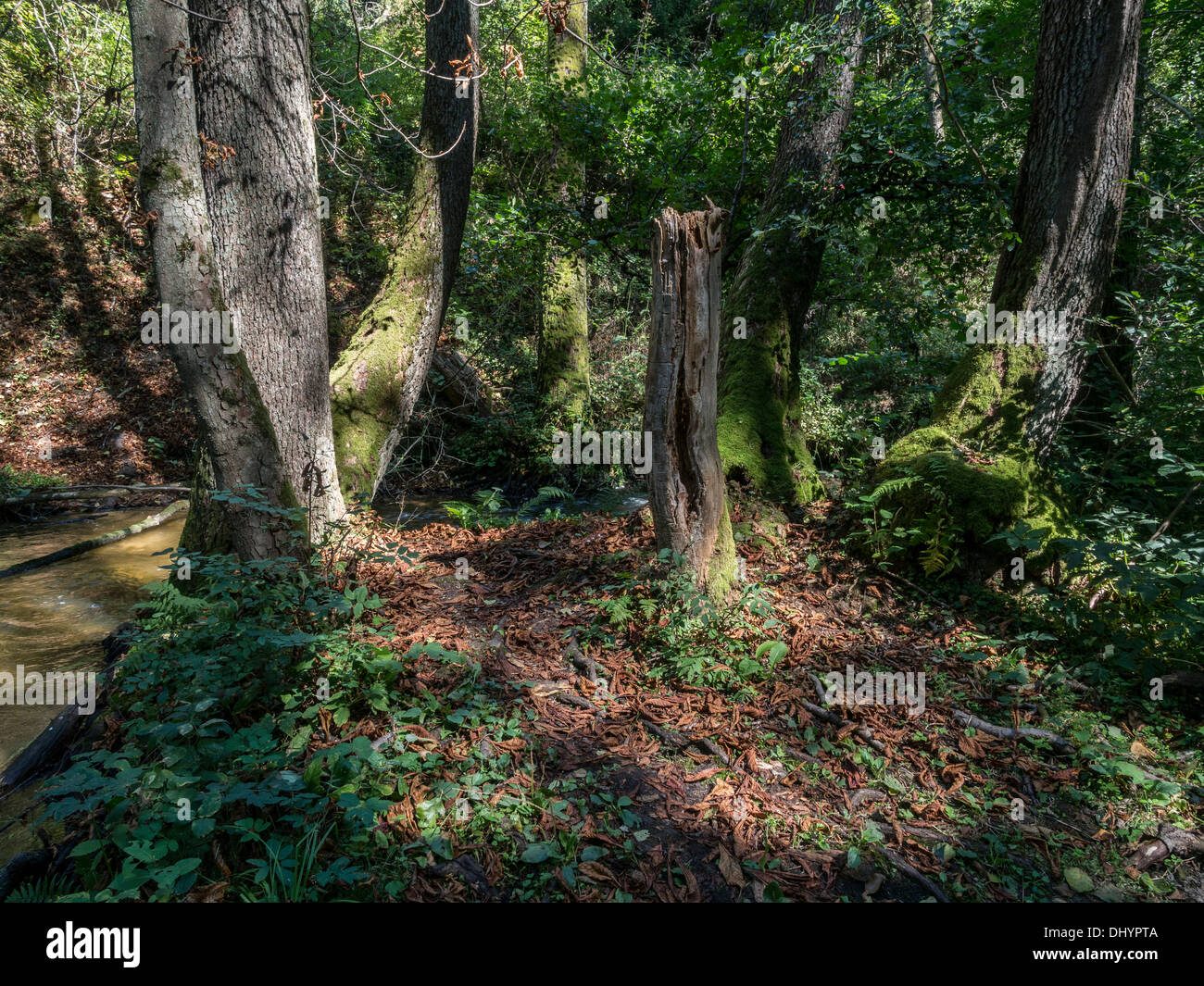 Roztocze national park hi-res stock photography and images - Alamy