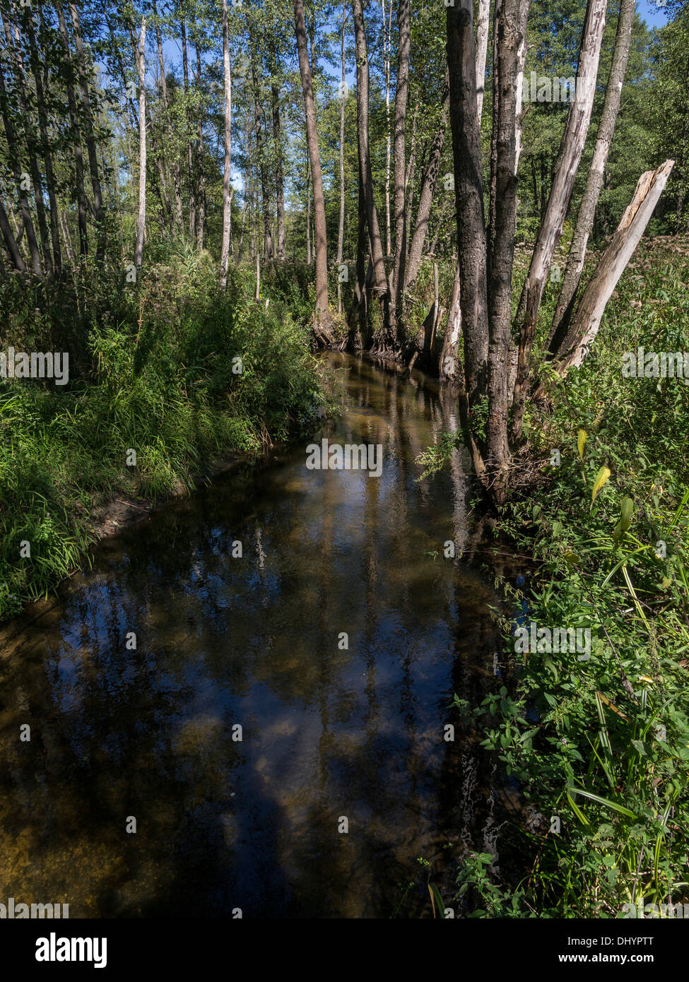 Roztocze - the magic place in Poland Stock Photo - Alamy