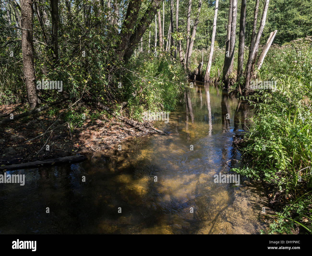 Roztocze national park hi-res stock photography and images - Alamy