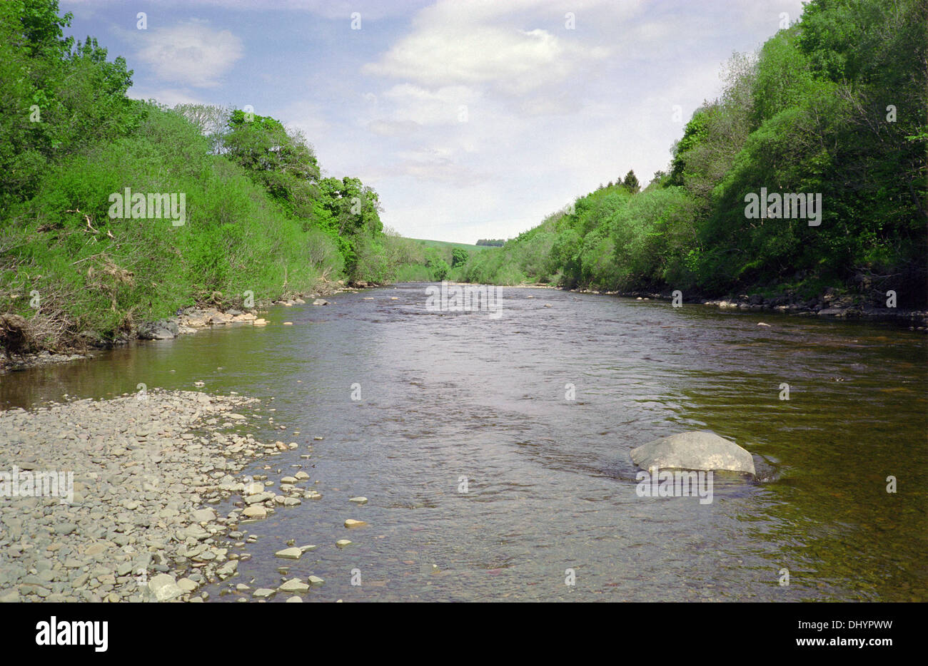 Ettrick River High Resolution Stock Photography and Images - Alamy
