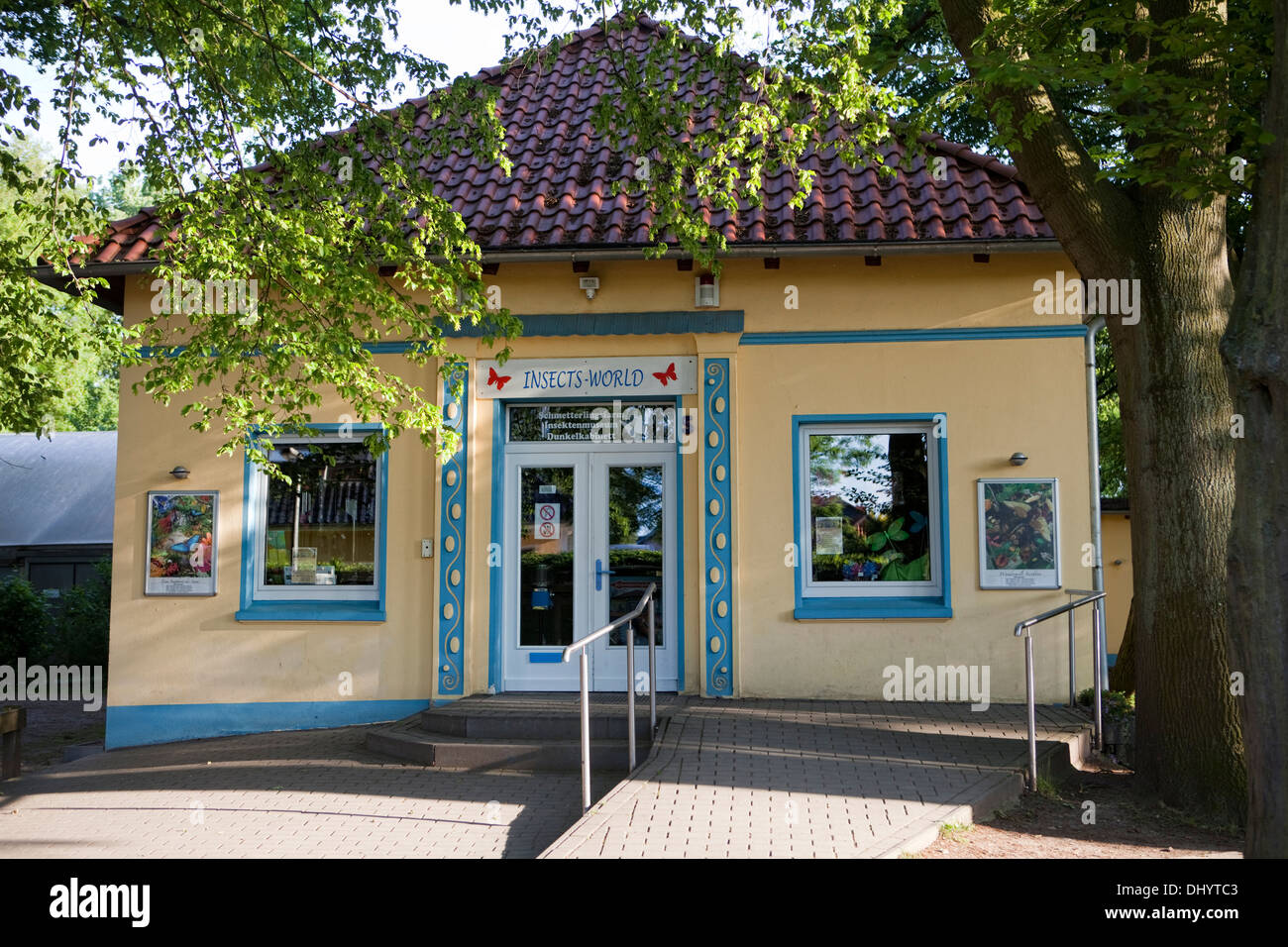 Insects world, Steinhuder Meer Nature Park, Steinhude Sea, Steinhude ...